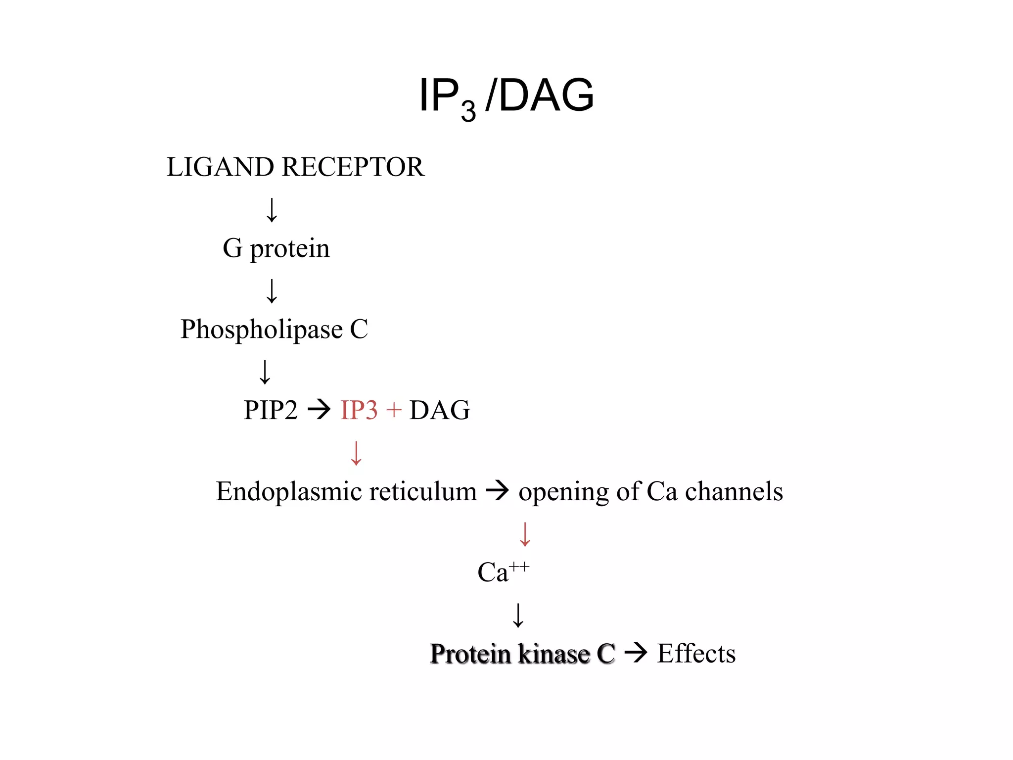 Slideshare second messengers aj | PPTX
