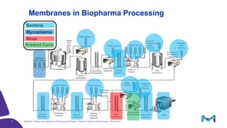 Selection, sizing, and operation of bioprocess filtration trains for ...