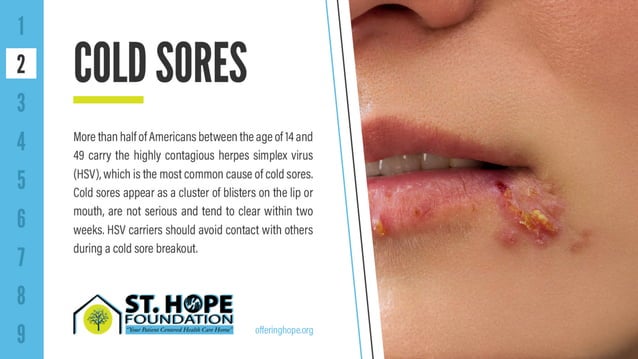 9 Common Skin Disorders | PDF