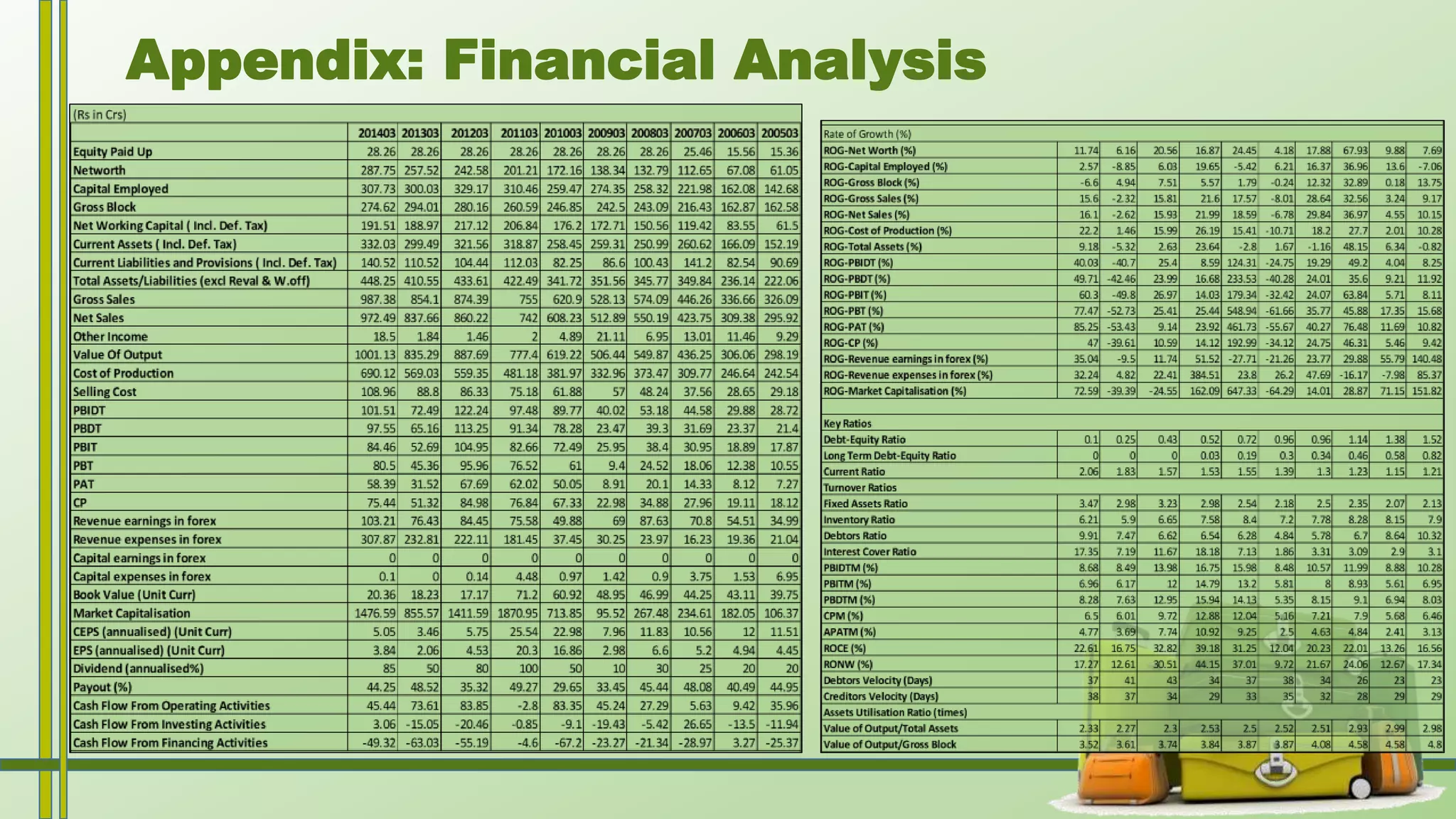 Strategic Management: Indian Luggage Industry | PPTX