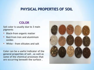Soil Properties, Soil Porosity, Bulk Density and Particle Density | PDF