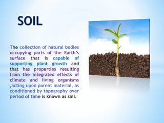Soil Properties, Soil Porosity, Bulk Density and Particle Density | PDF
