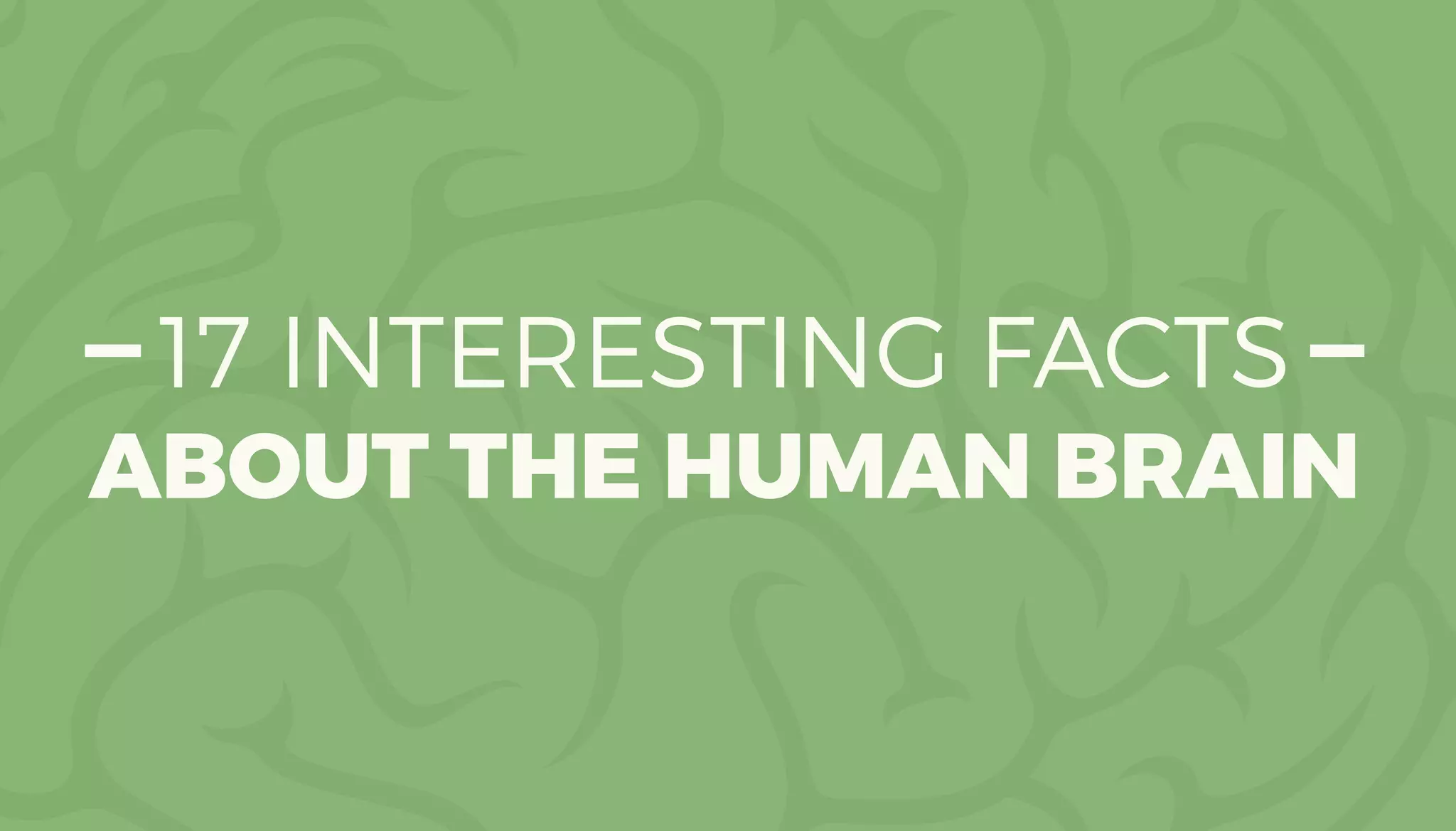 Infographic: 17 Interesting Facts About the Human Brain | PDF
