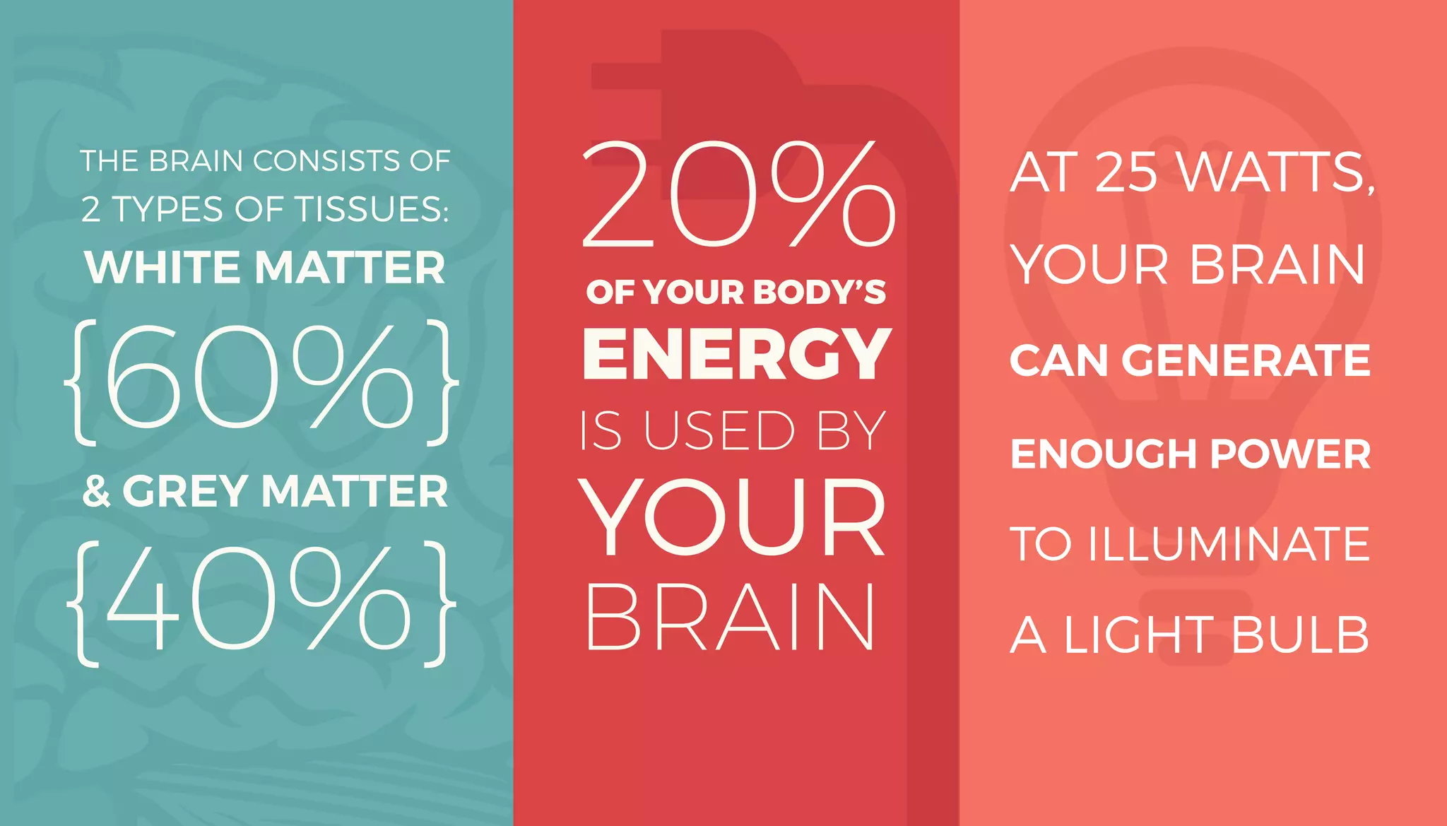 Infographic: 17 Interesting Facts About the Human Brain | PDF