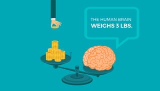 Infographic: 17 Interesting Facts About the Human Brain | PDF