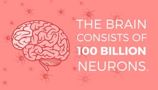 Infographic: 17 Interesting Facts About the Human Brain | PDF