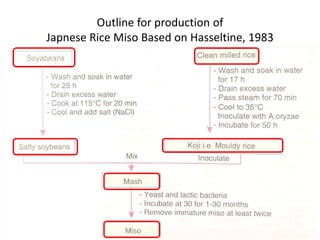 Traditional fungal food miso | PPTX