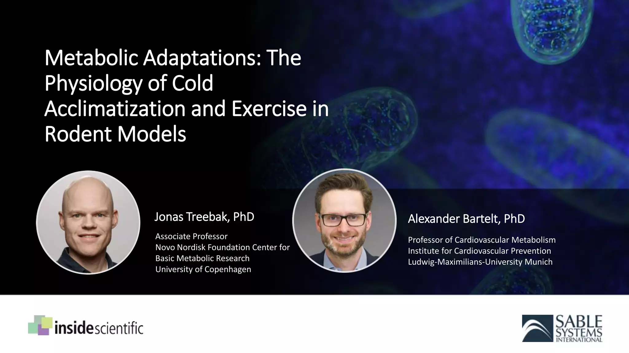 Metabolic Adaptations: The Physiology of Cold Acclimatization and ...