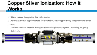 The Multi-barrier Approach to Address Water Quality and Disease ...