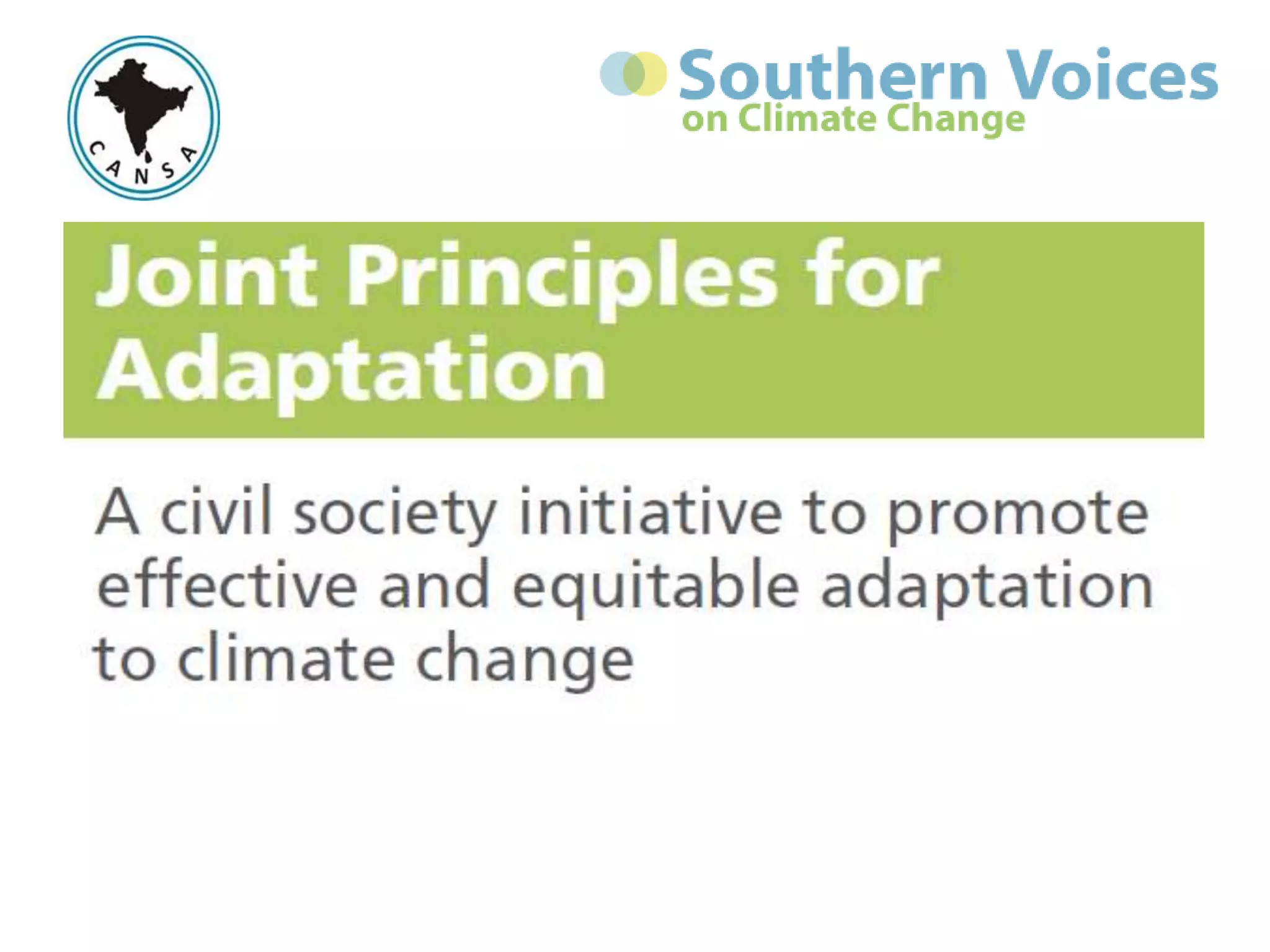 Joint Principles for Adaptation | PPTX