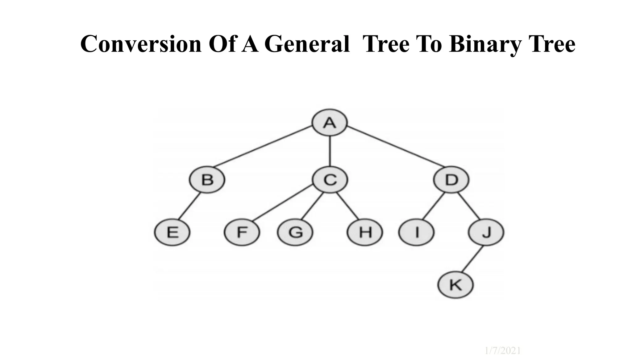 Introduction To Binary Tree And Conersion Of General Tree To Binary 0534