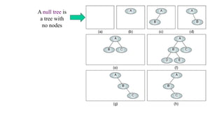 Introduction to Binary Tree and Conersion of General tree to Binary Tree | PDF