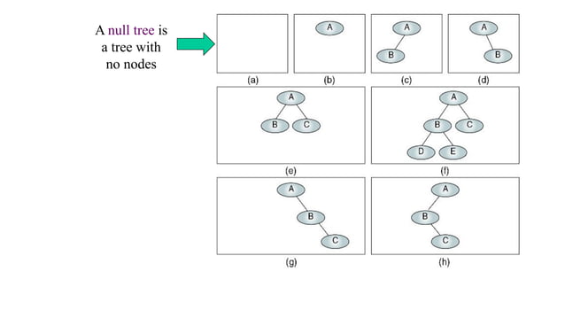 Introduction to Binary Tree and Conersion of General tree to Binary Tree | PDF | Science