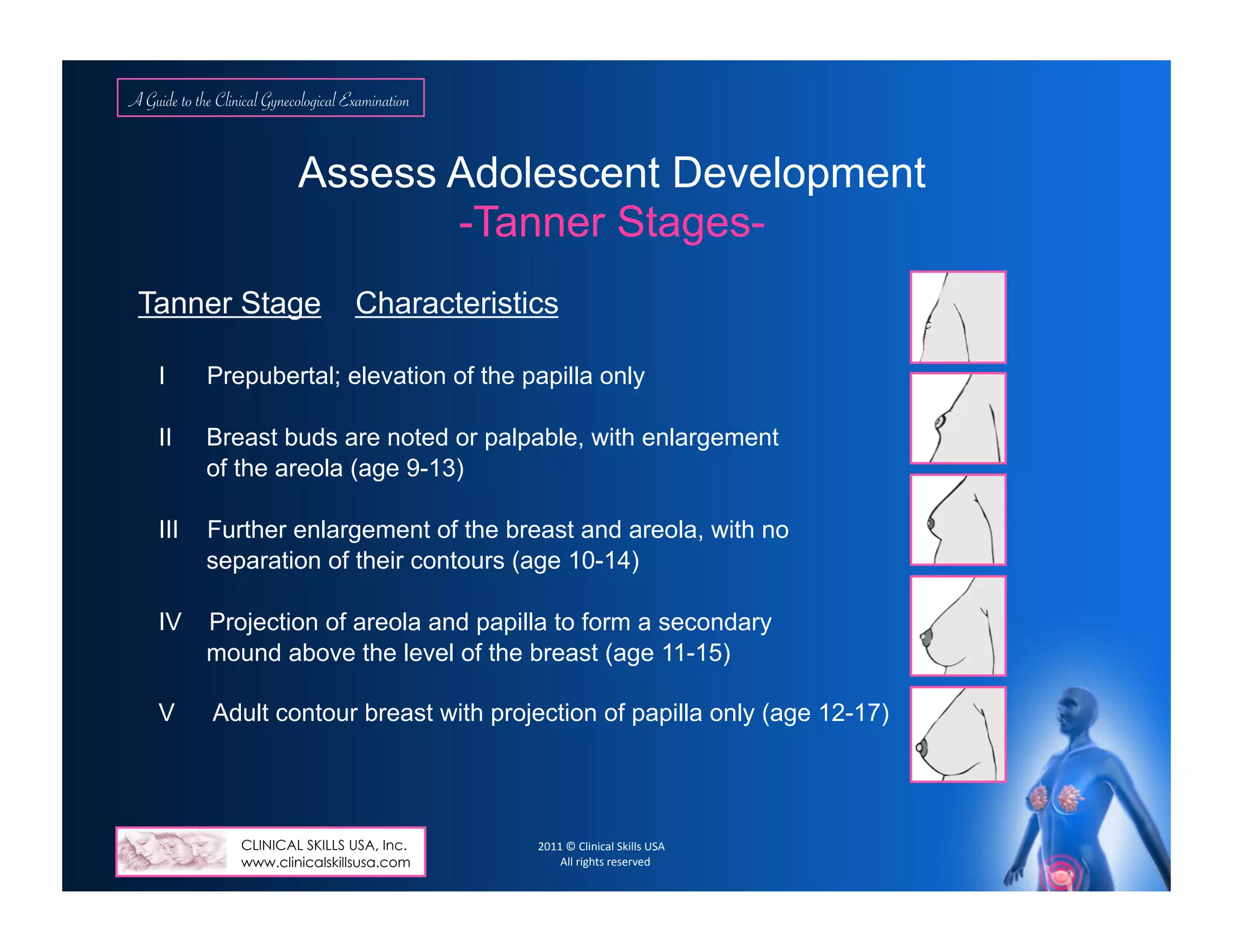 A Guide to the Clinical Gynecological Exam as Instructed by a Female ...