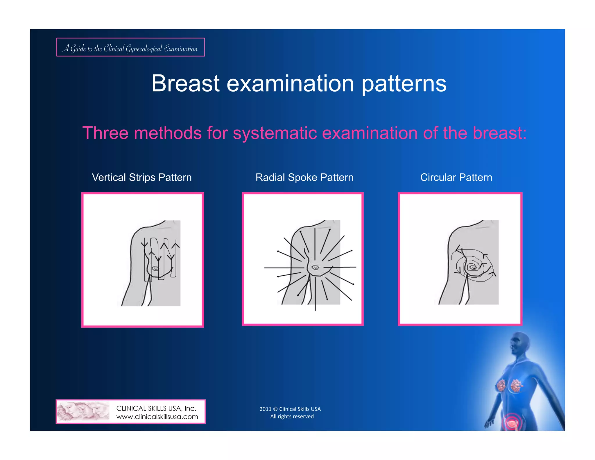 A Guide to the Clinical Gynecological Exam as Instructed by a Female ...