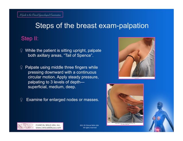 A Guide To The Clinical Gynecological Exam As Instructed By A Female