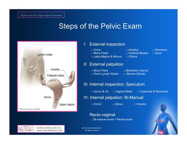 A Guide to the Clinical Gynecological Exam as Instructed by a Female ...