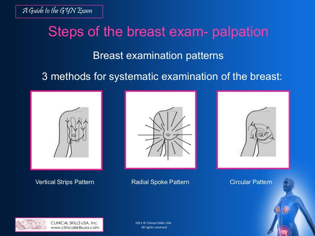 A Guide to the Clinical Gynecological Exam as Instructed by a Female