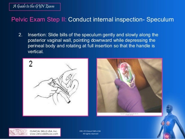 A Guide to the Clinical Gynecological Exam as Instructed by a Female