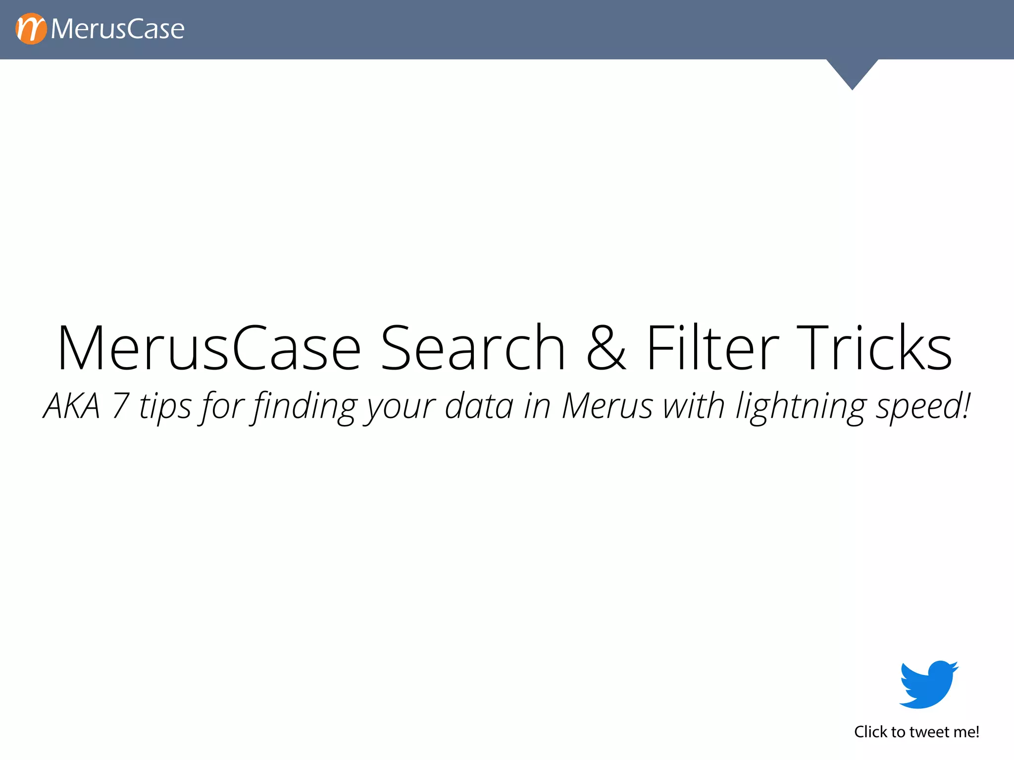 MerusCase Search & Filter Tricks [Webinar] | PDF