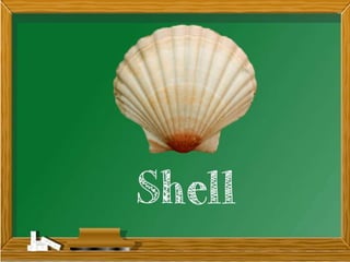 Book 4 Lesson 4 | PPT