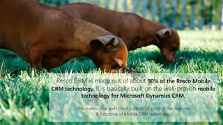 Zooming in: Resco CRM | PPTX