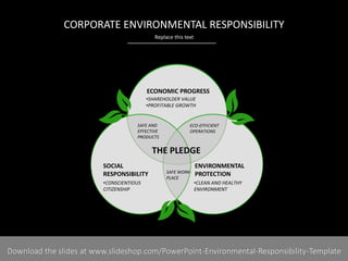 Environmental Responsibility Template | PDF