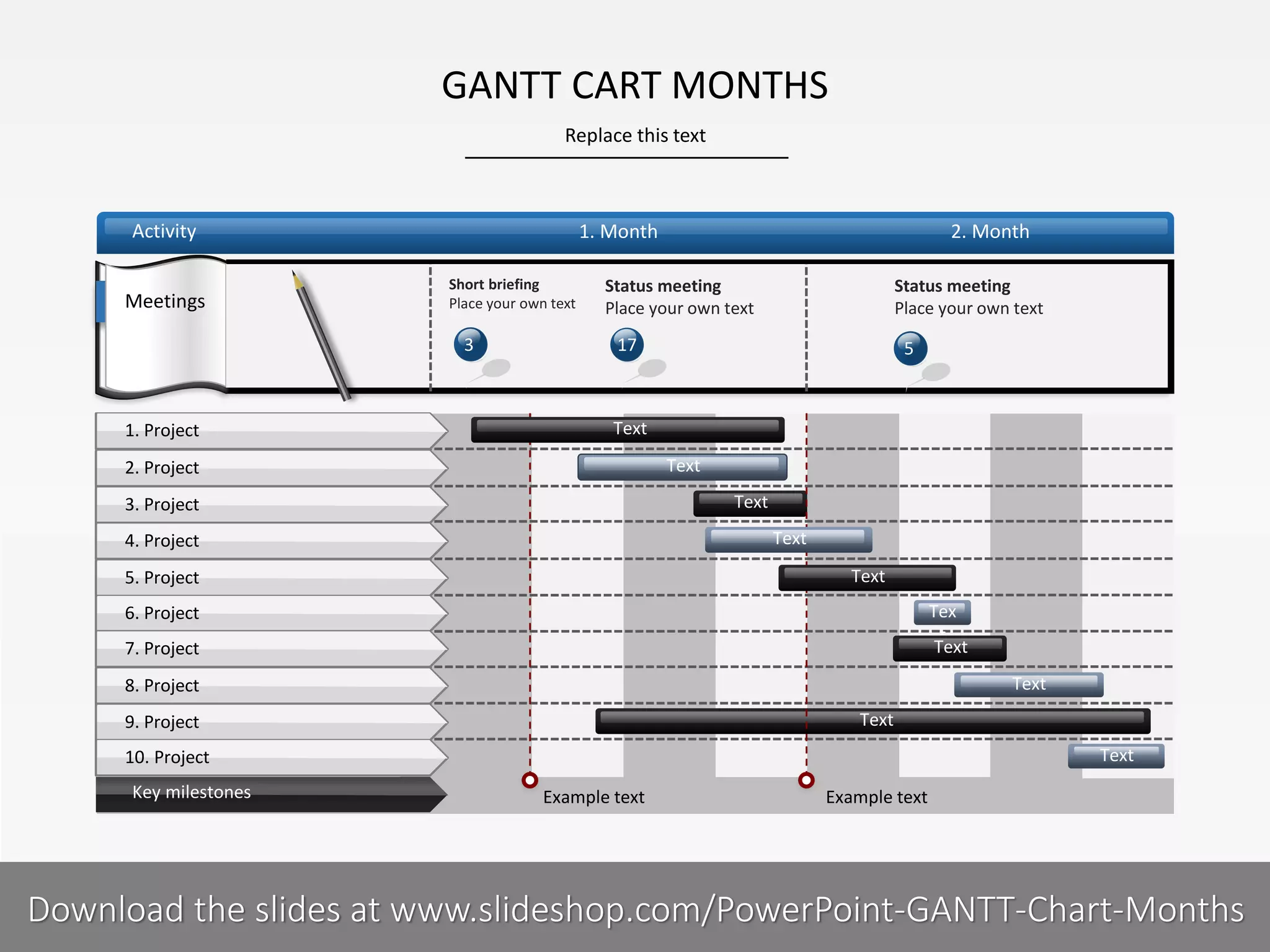 Gantt Chart Months | PDF