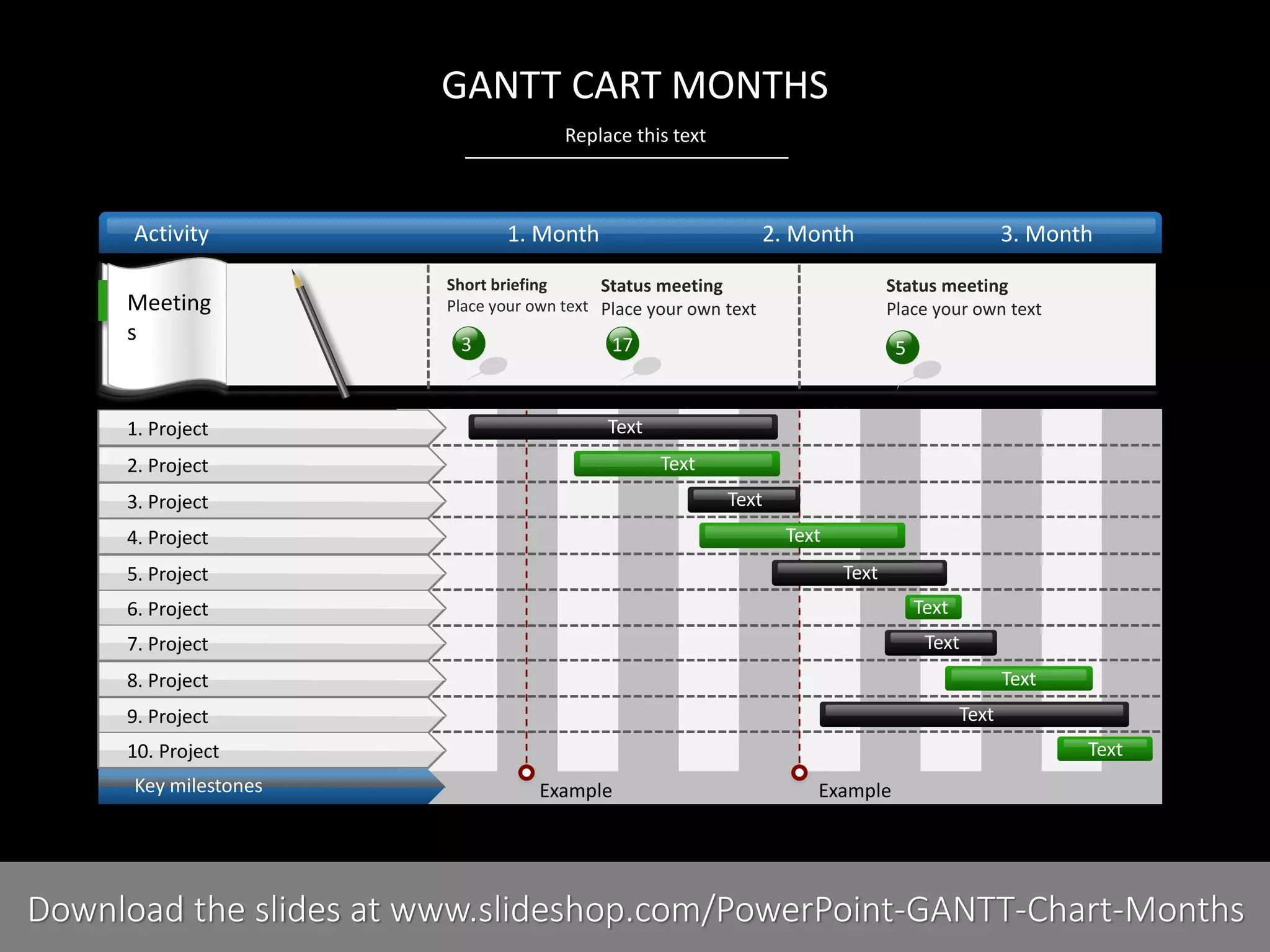Gantt Chart Months | PDF