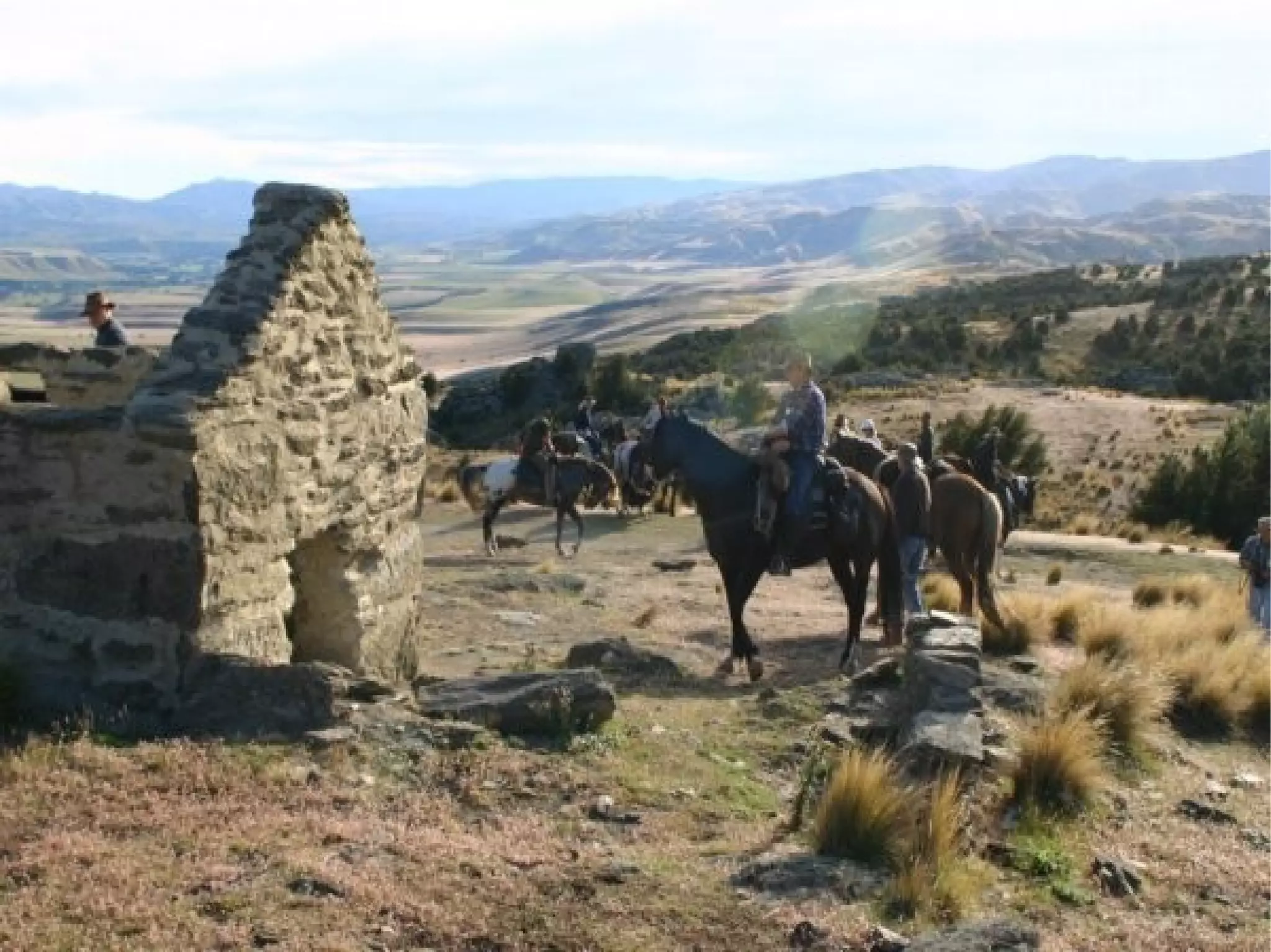 Cavalcade for wordpress | ODP