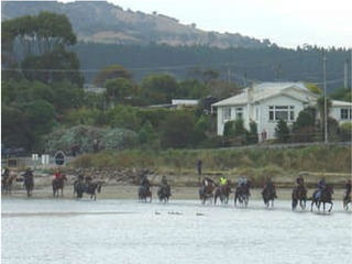 Cavalcade for wordpress | ODP