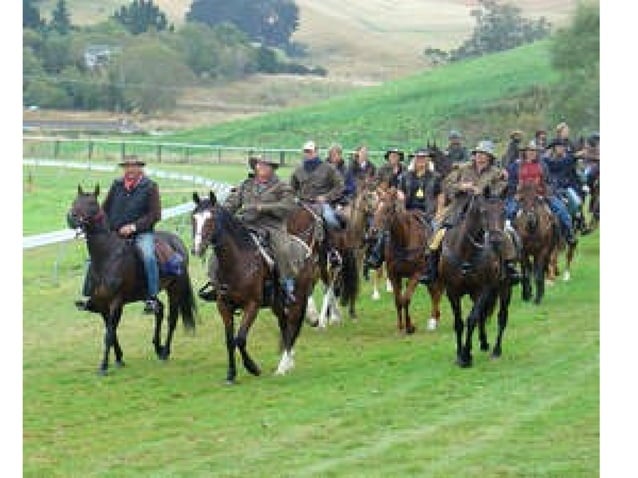 Cavalcade for wordpress | ODP