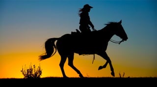 Front Page Slideshow | PDF