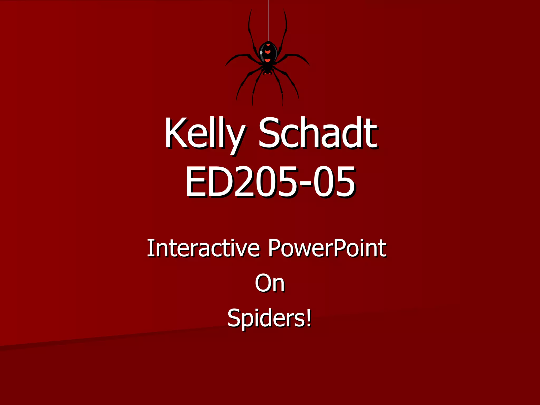 Spiders | PPT