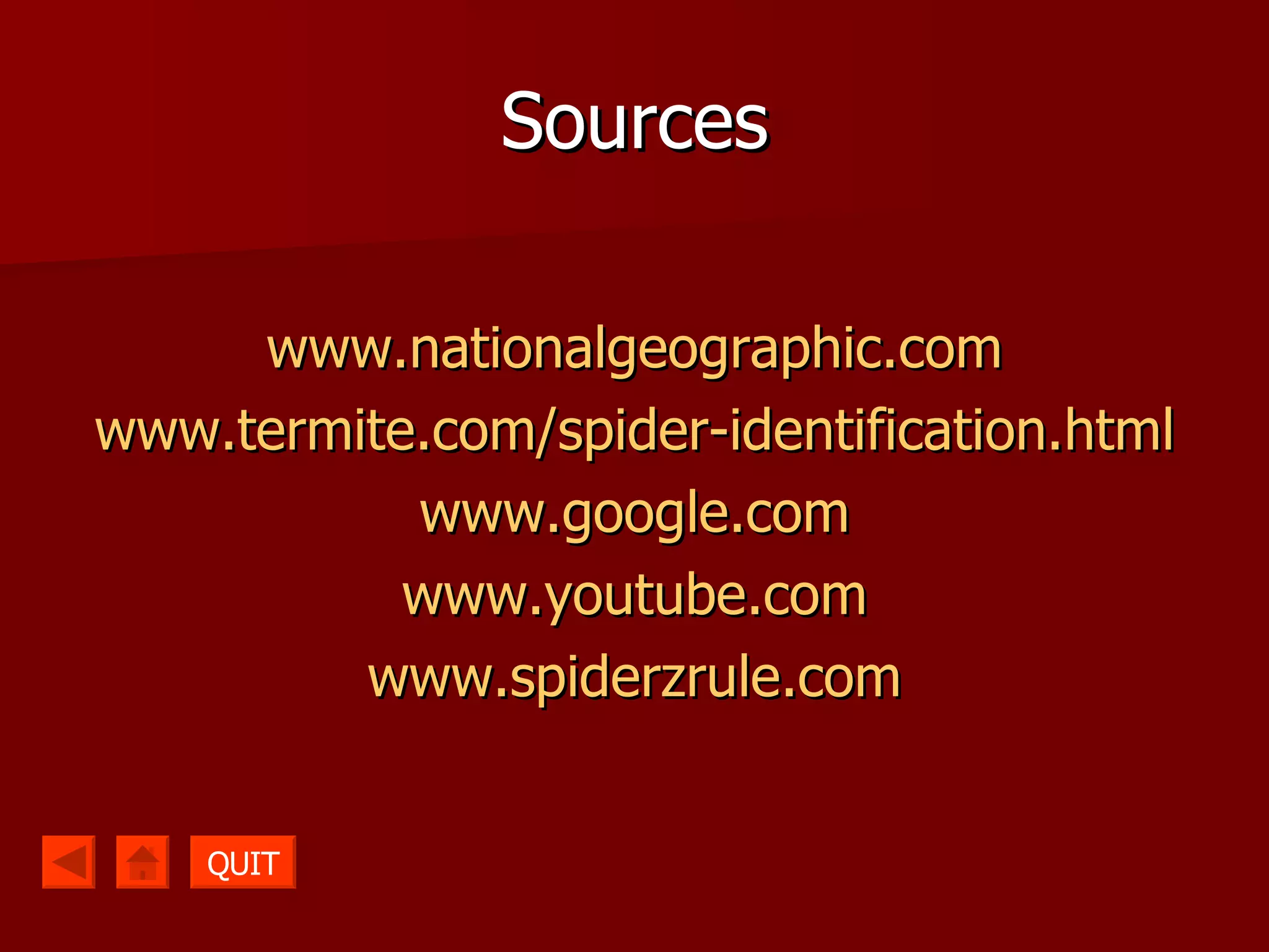 Spiders | PPT