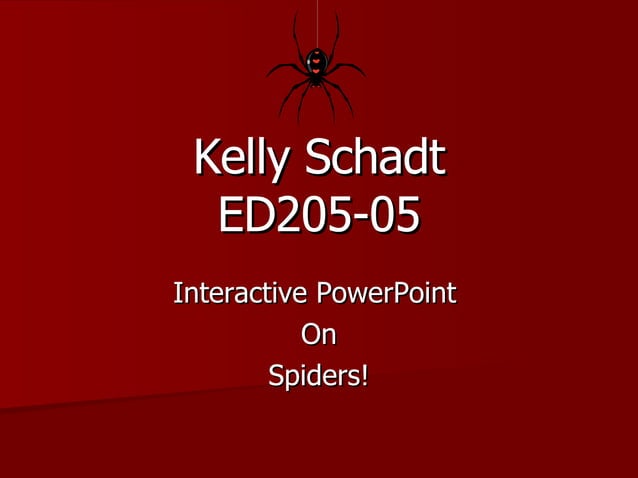 Spiders | PPT | Reptiles | Pets