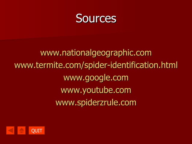 Spiders | PPT | Reptiles | Pets