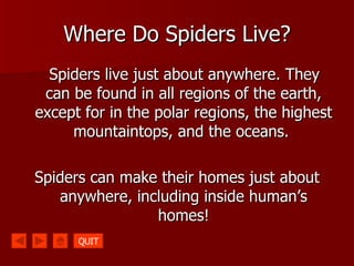 Spiders | PPT