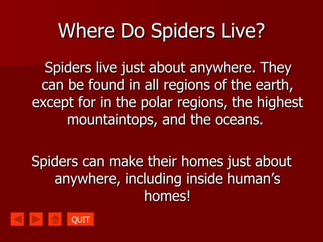 Spiders | PPT | Reptiles | Pets