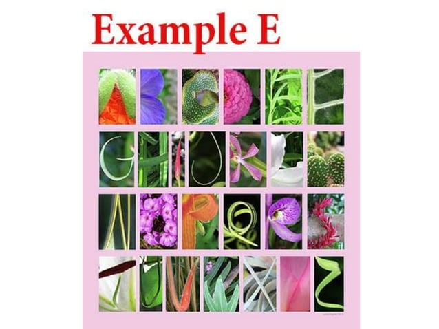 Slideshow ABC PHOTOgraphy | PPT