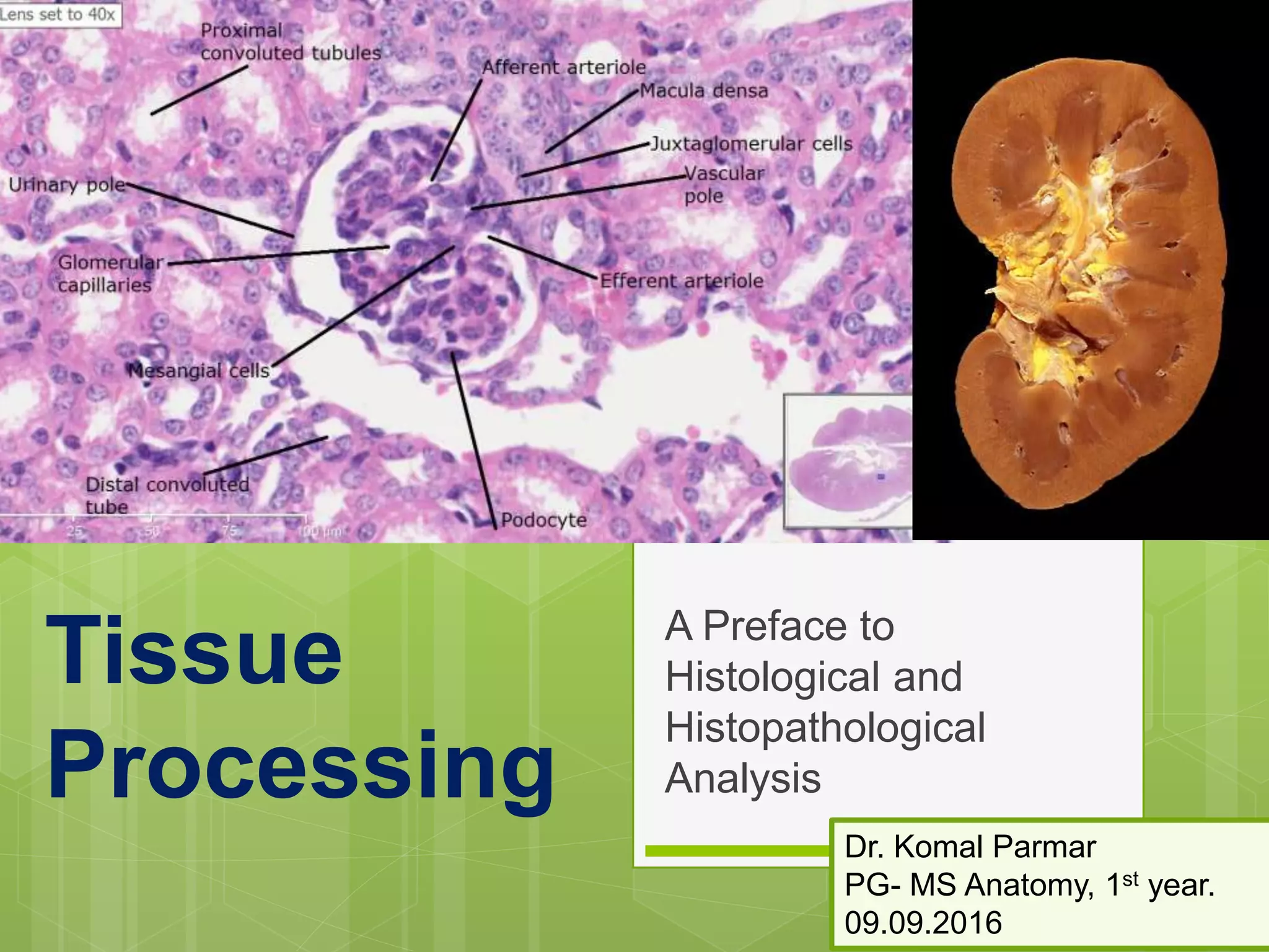Tissue Processing for Histopathological Analysis | PPTX