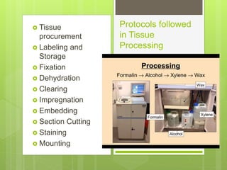 Tissue Processing for Histopathological Analysis | PPTX