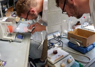 GreenScreen Lab Testing | PPT