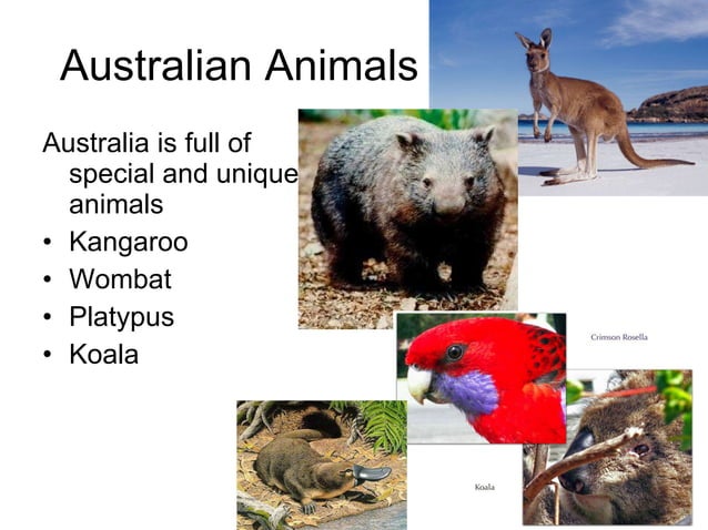 Australia | PPT | Australia and Oceania Travel | Travel Locations