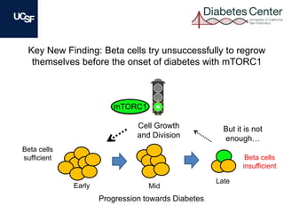 Regrowth of Beta Cells with Small Molecule Therapy | PPTX