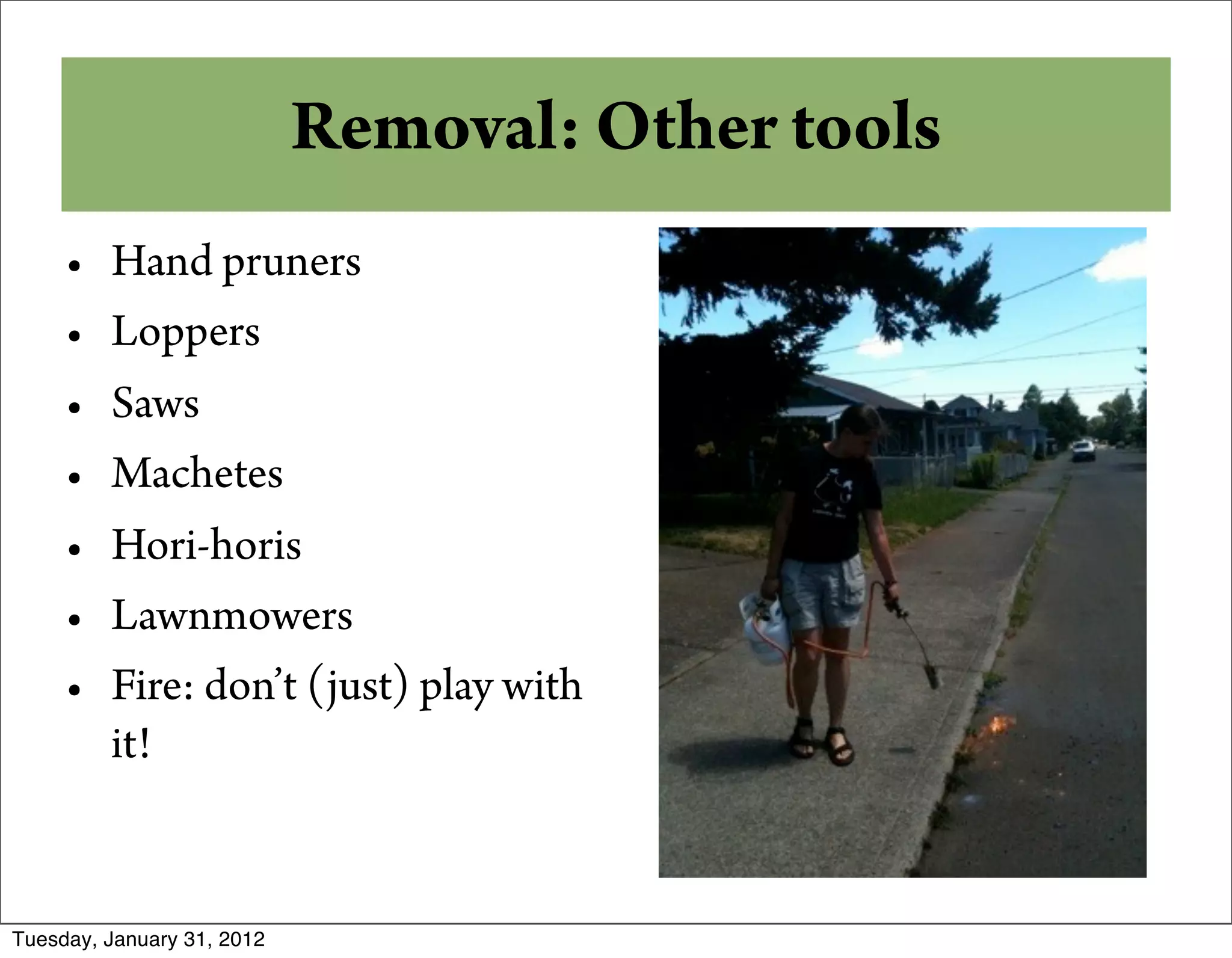 Garden Invaders - Recognizing and Removing Invasive Plants | PPT