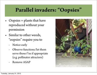 Garden Invaders - Recognizing and Removing Invasive Plants | PPT