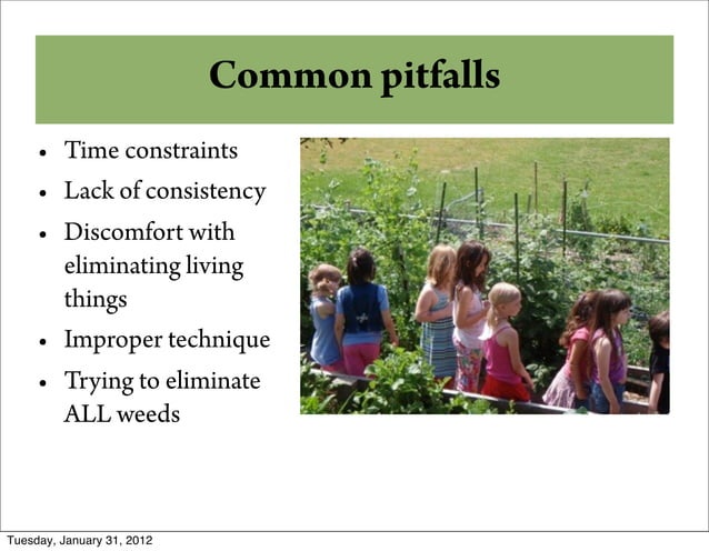 Garden Invaders - Recognizing and Removing Invasive Plants | PPT