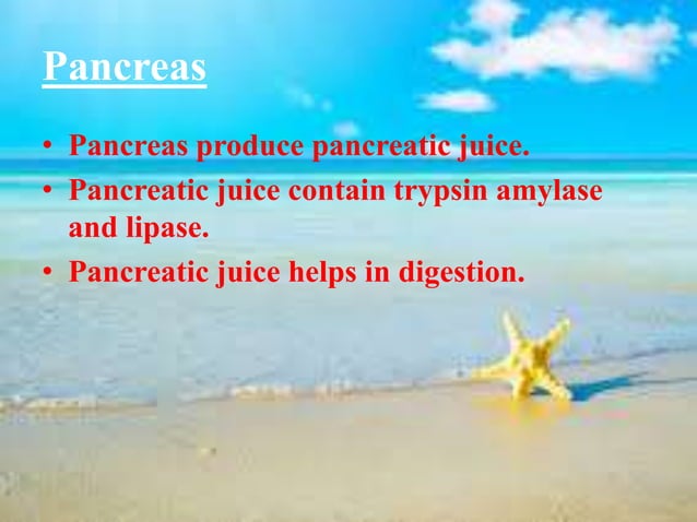 Slideshow - ----- Rincy A | PPT