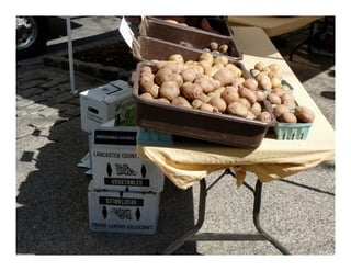 Container Research | PDF